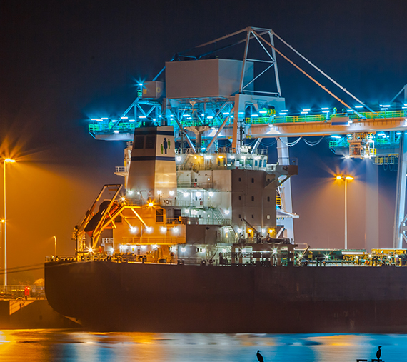 Royal Track Delivery | Homepage